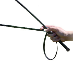 Animal Handling Equipment / Gloves / Control Poles / Nets :: Snappy ...