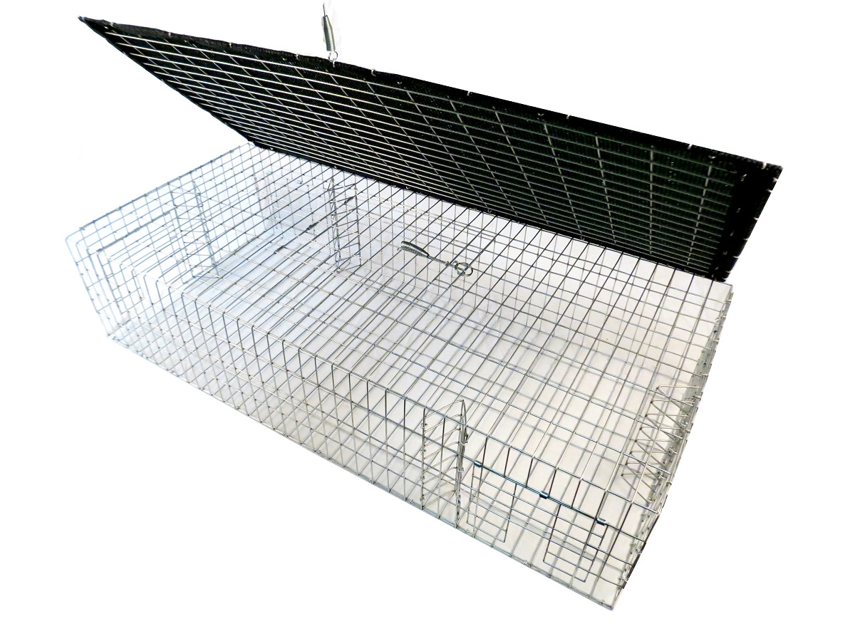 Traps :: Specialty Traps :: Bird Traps :: Pigeon Traps :: SW Cage ...
